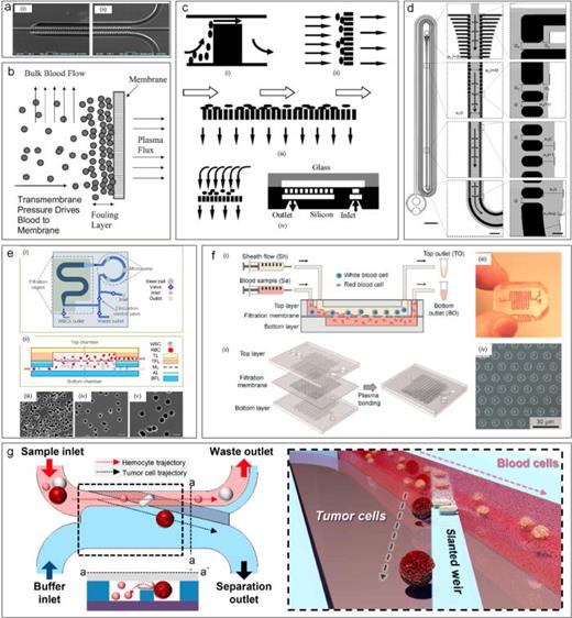 Label-free microfluidic sorting of microparticles | APL Bioengineering ...