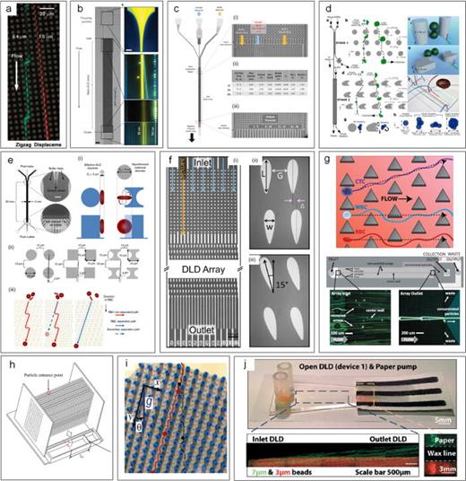Label-free microfluidic sorting of microparticles | APL Bioengineering ...