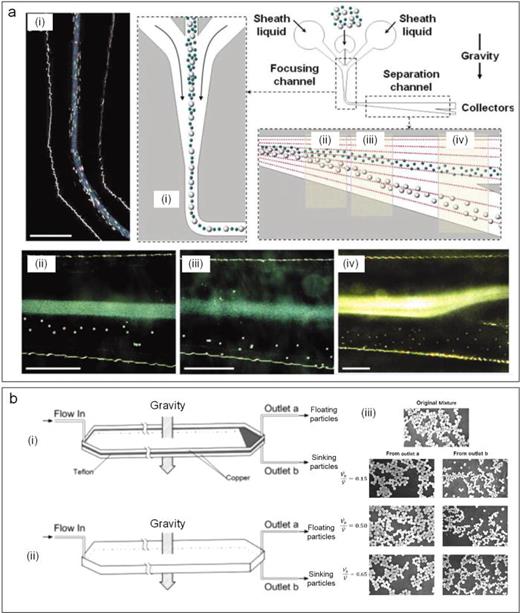 Label-free microfluidic sorting of microparticles | APL Bioengineering ...