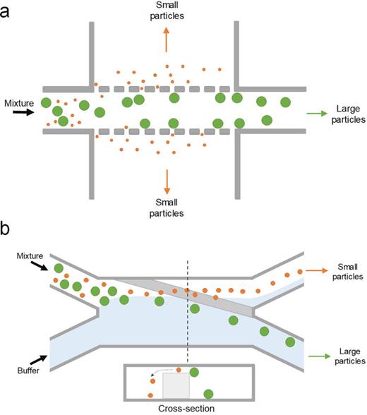 Label-free microfluidic sorting of microparticles | APL Bioengineering ...