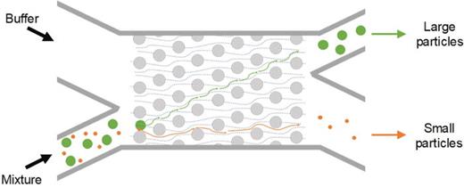 Label-free microfluidic sorting of microparticles | APL Bioengineering ...