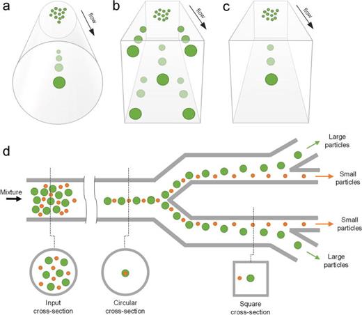 Label-free microfluidic sorting of microparticles | APL Bioengineering | AIP Publishing