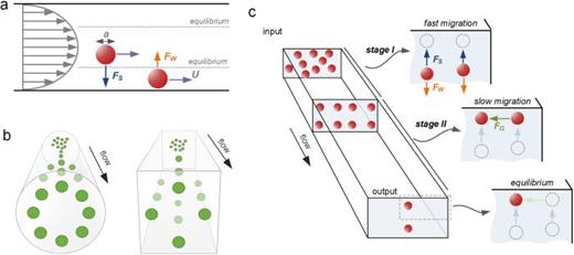Label-free microfluidic sorting of microparticles | APL Bioengineering | AIP Publishing