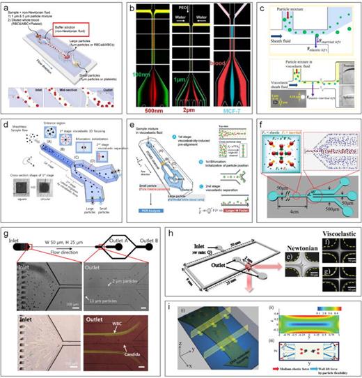 Label-free microfluidic sorting of microparticles | APL Bioengineering ...