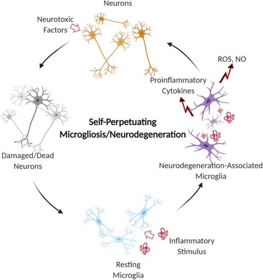 Microglia-targeting nanotherapeutics for neurodegenerative diseases ...