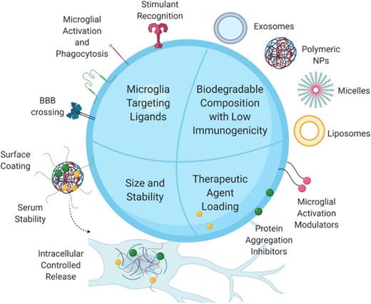 Microglia-targeting nanotherapeutics for neurodegenerative diseases ...