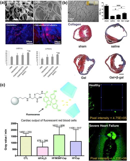 Stimuli-responsive biomaterials for cardiac tissue engineering and ...
