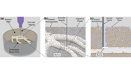 Emergence of FRESH 3D printing as a platform for advanced tissue ...