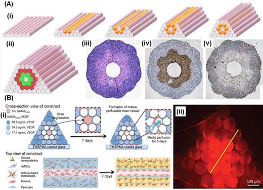 Complex 3D bioprinting methods | APL Bioengineering | AIP Publishing