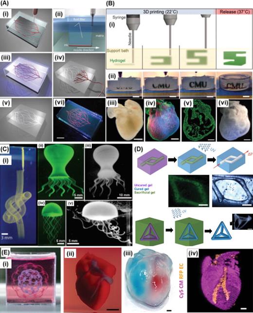 Complex 3D bioprinting methods | APL Bioengineering | AIP Publishing