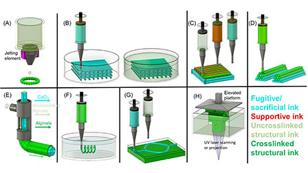 Complex 3D bioprinting methods | APL Bioengineering | AIP Publishing