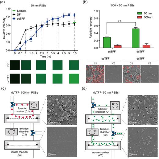 Cyclic tangential flow filtration system for isolation of extracellular ...