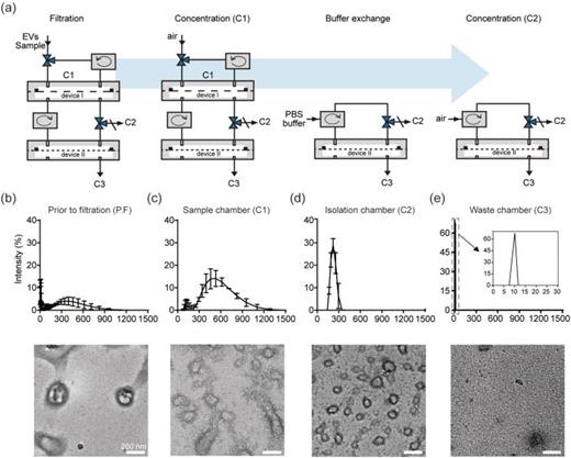 Cyclic tangential flow filtration system for isolation of extracellular ...