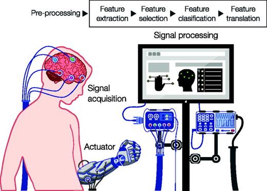 Mind the gap: State-of-the-art technologies and applications for EEG-based brain–computer ...