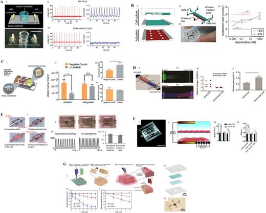 Liver–Heart on chip models for drug safety | APL Bioengineering | AIP ...