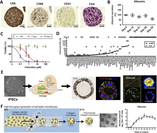 Latest impact of engineered human liver platforms on drug development ...