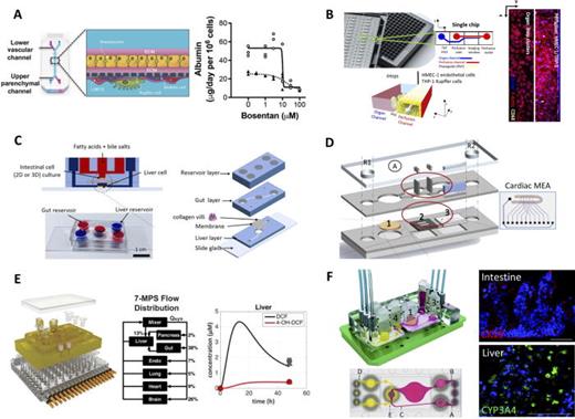 Latest impact of engineered human liver platforms on drug development ...