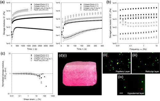 A suspended layer additive manufacturing approach to the bioprinting of ...
