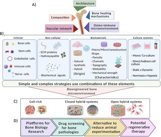 New insights into the biomimetic design and biomedical applications of ...