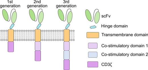 Engineering CAR T cells for enhanced efficacy and safety | APL ...