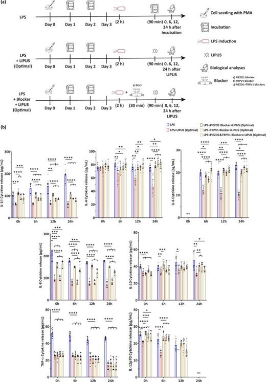 Optimal low-intensity pulsed ultrasound stimulation for promoting anti ...