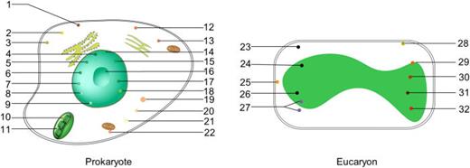 Study liquid–liquid phase separation with optical microscopy: A ...