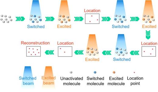 Study liquid–liquid phase separation with optical microscopy: A ...