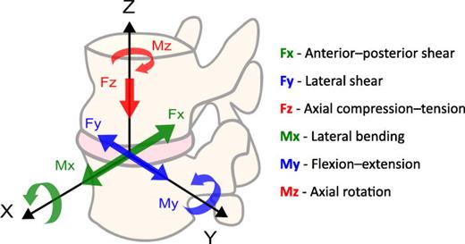 The role of biomechanical factors in models of intervertebral disc ...