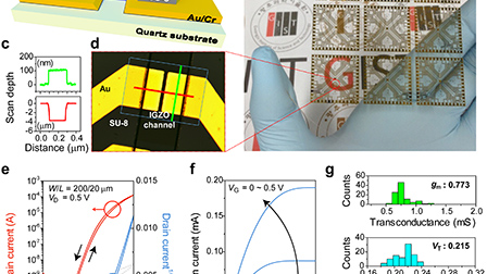 Aqueous electrolyte-gated solution-processed metal oxide transistors ...