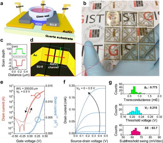 Aqueous electrolyte-gated solution-processed metal oxide transistors ...