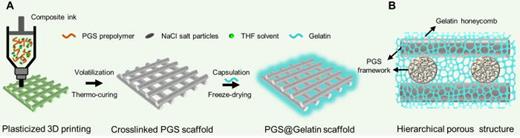 Gelatin-modified 3D printed PGS elastic hierarchical porous scaffold for cartilage regeneration ...