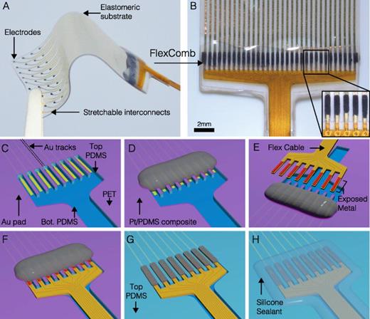 A low-profile electromechanical packaging system for soft-to-flexible bioelectronic interfaces ...