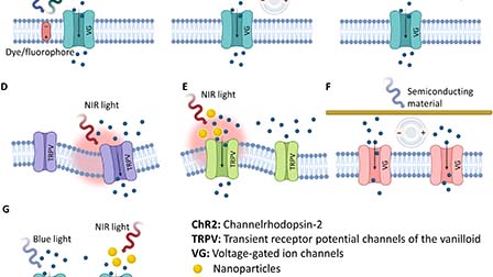 Emerging trends in the development of flexible optrode arrays for ...