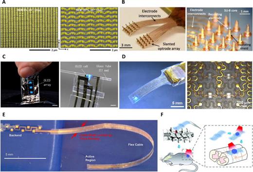 Emerging trends in the development of flexible optrode arrays for ...