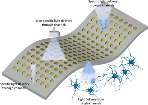 Emerging trends in the development of flexible optrode arrays for ...
