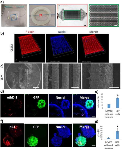 Magnetic self-assembly of 3D multicellular microscaffolds: A biomimetic ...