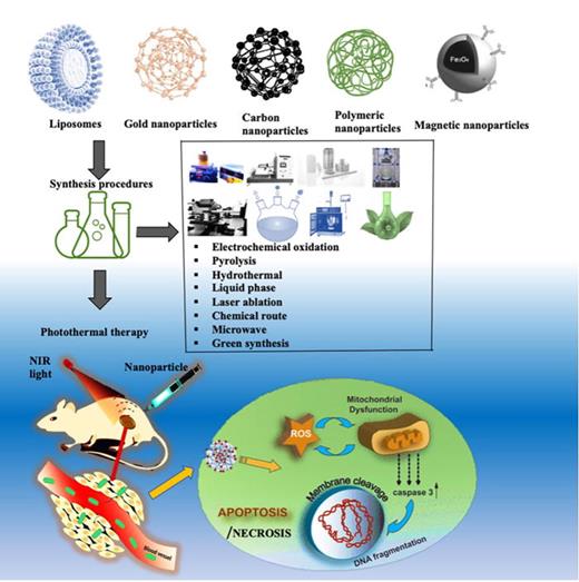 Photothermal therapy using graphene quantum dots | APL Bioengineering ...