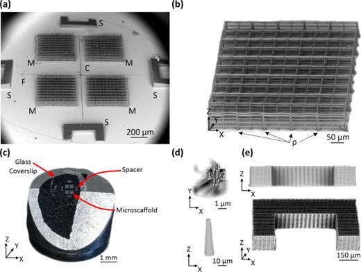 In vivo label-free tissue histology through a microstructured imaging ...
