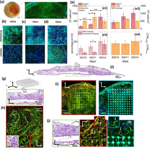 In vivo label-free tissue histology through a microstructured imaging ...