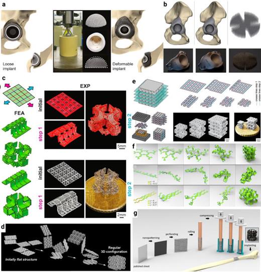Orthopedic meta-implants | APL Bioengineering | AIP Publishing
