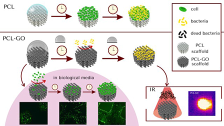 Multifunctional scaffolds for biomedical applications: Crafting ...