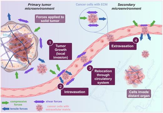 Advances in cancer mechanobiology: Metastasis, mechanics, and materials ...