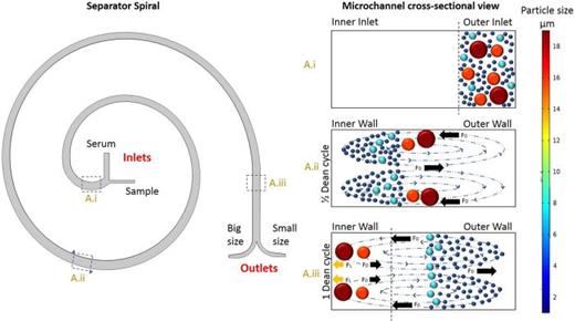 Computational and experimental microfluidics: Total analysis system for ...