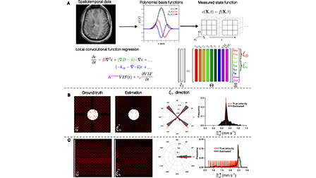 Model discovery approach enables noninvasive measurement of intra ...