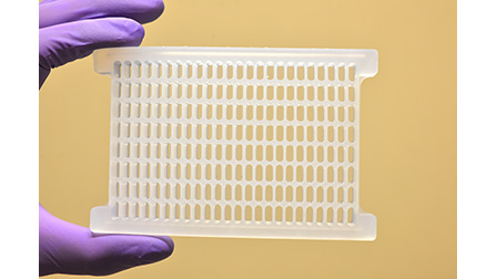 A high throughput cell stretch device for investigating mechanobiology ...