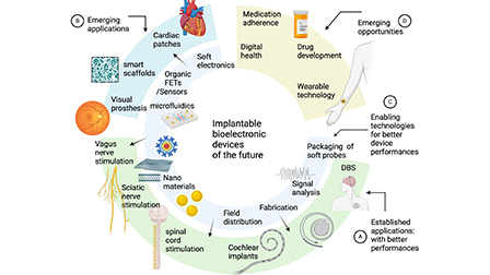 Guest Editorial: Implantable bioelectronics | APL Bioengineering | AIP Publishing