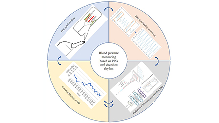 A review: Blood pressure monitoring based on PPG and circadian rhythm ...