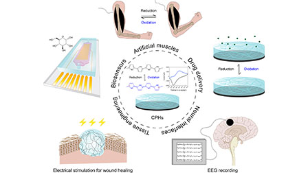 Conducting polymer hydrogels for biomedical application: Current status ...