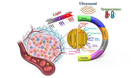 Heterojunction semiconductor nanocatalysts as cancer theranostics | APL ...