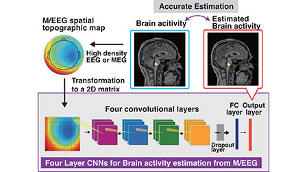 M/EEG source localization for both subcortical and cortical sources ...